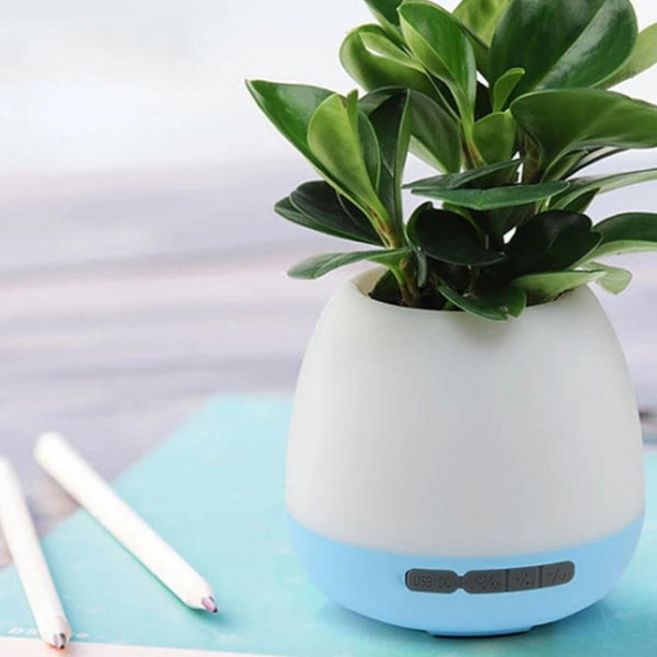Smart Flower Pot | with LED Lights and Bluetooth Speaker - Grey ...